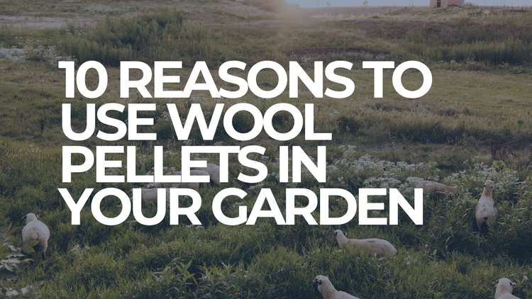 10 reasons to use wool pellets in your garden – Kestrel Ridge Pellet ...